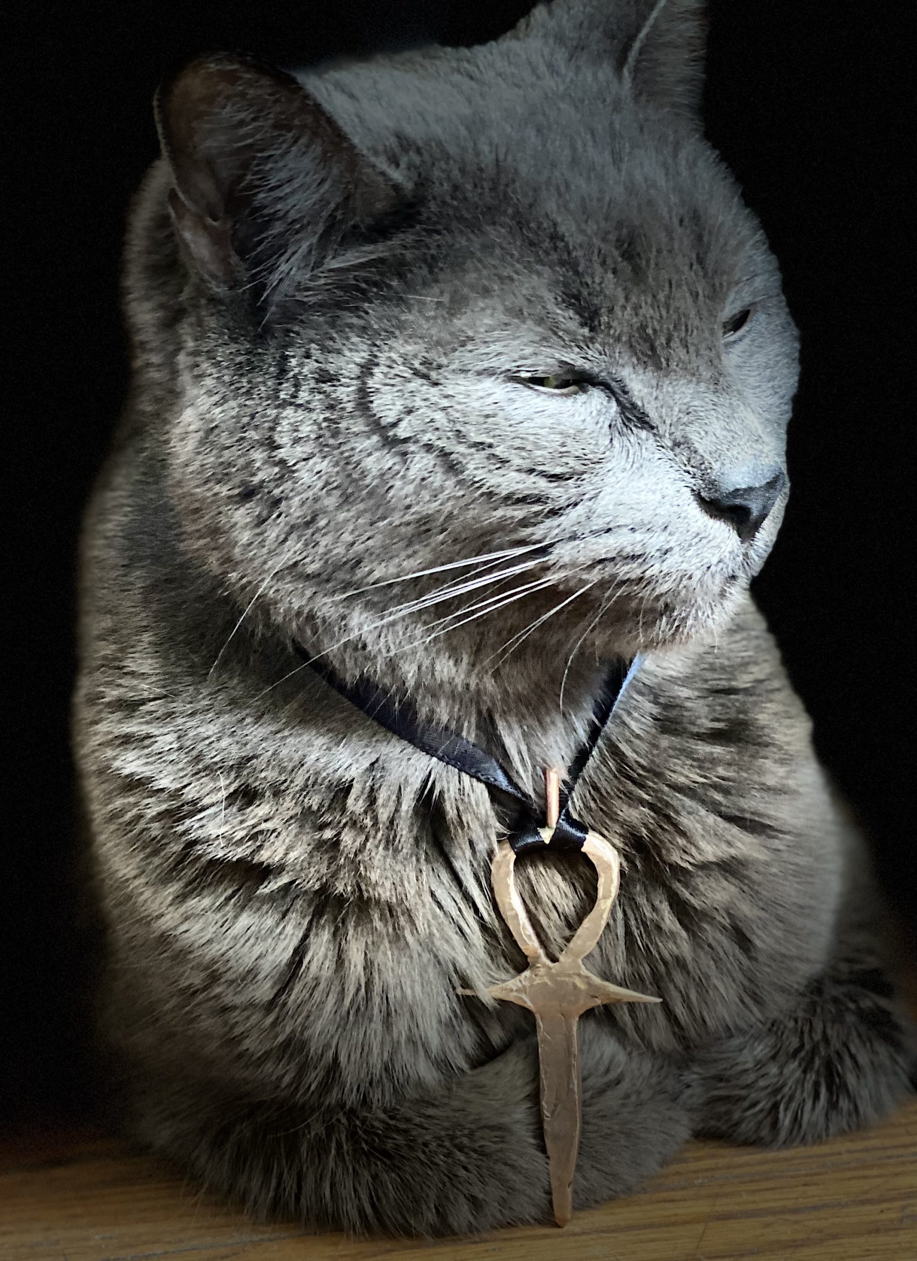 STACY ELLEN RICH ☥ METALIST | STACY ELLEN RICH ☥METALIST☥